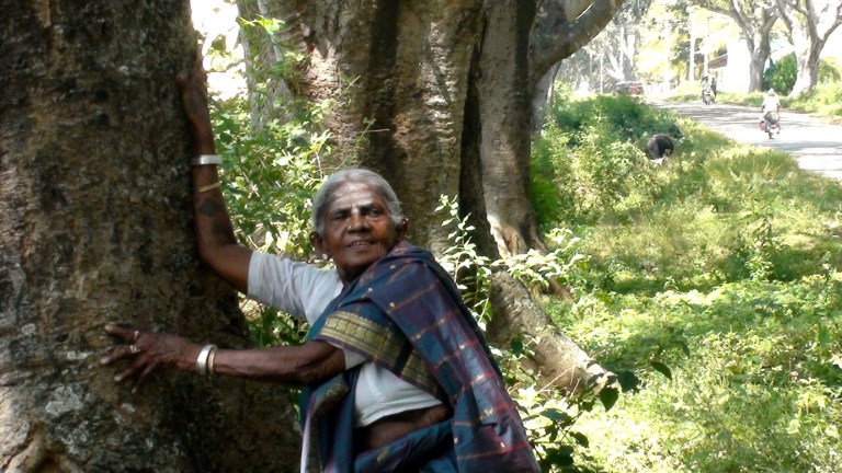 An epic tale called Saalumarada Thimmaka | ENDLESSLY GREEN