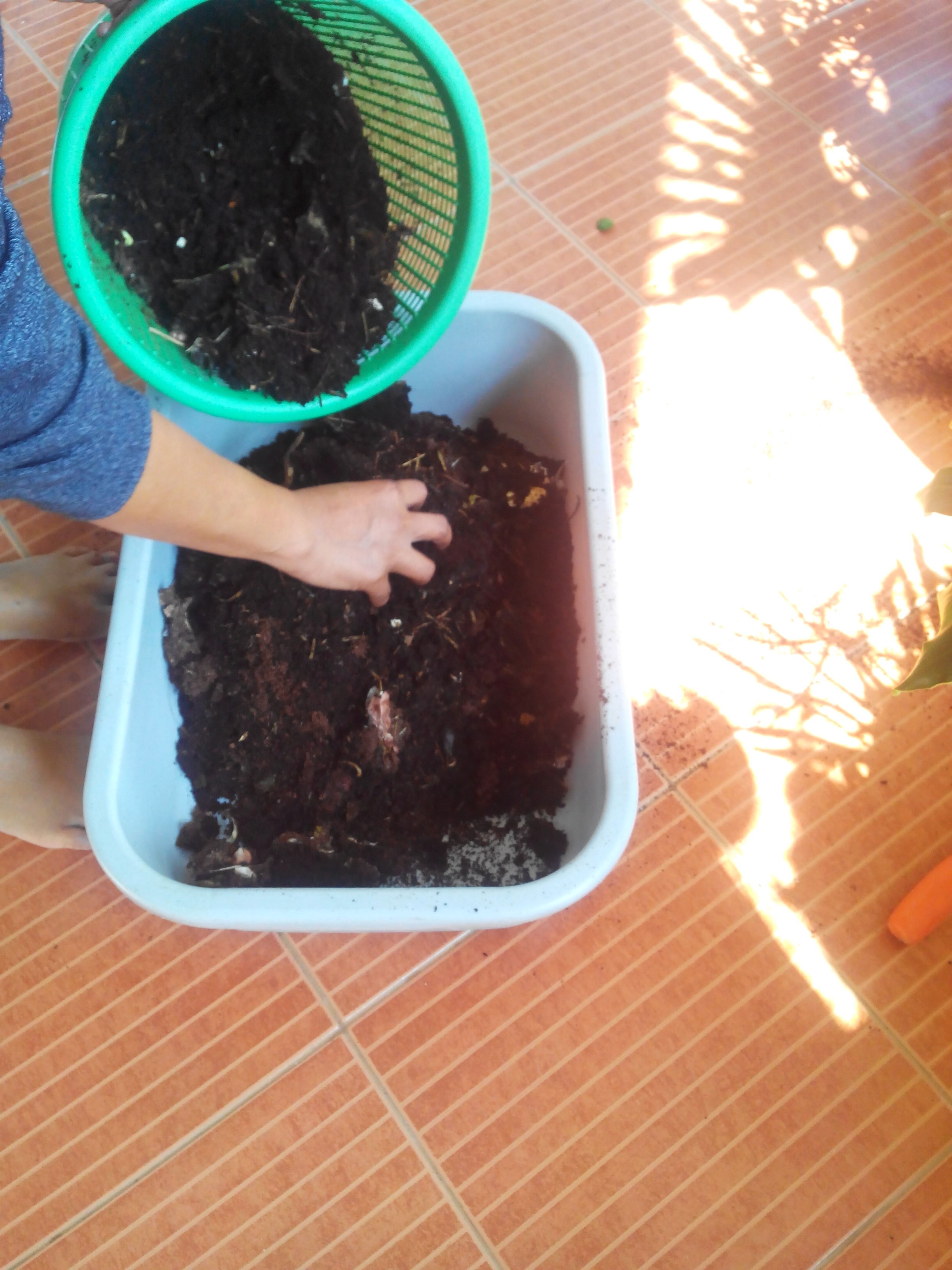 My own home composting experiment, my own little triumph! | ENDLESSLY GREEN