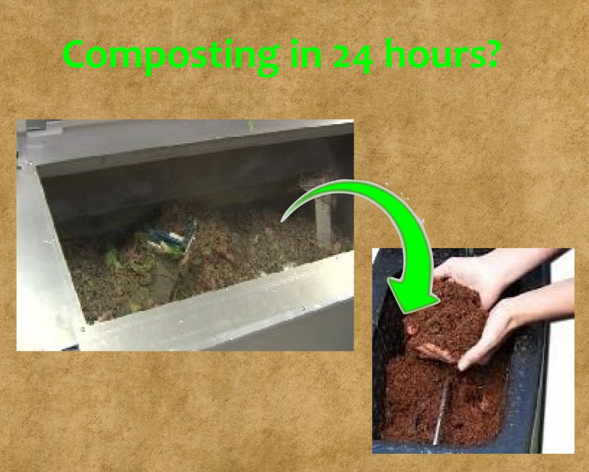 Fully automatic composting machines: Let the buyer beware | ENDLESSLY GREEN