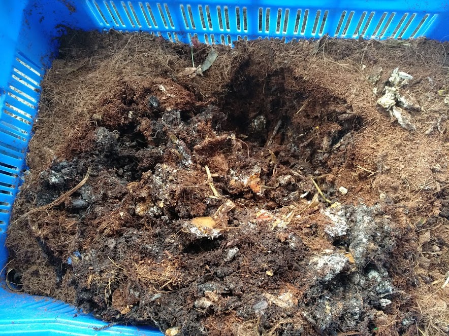 Community composting method-15: Try this DIY using GKVK culture, cut ...