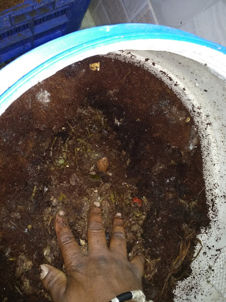 Community composting method-15: Try this DIY using GKVK culture, cut ...