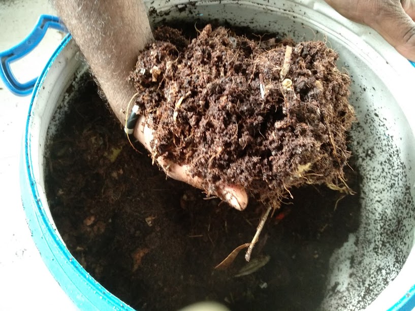 Community composting method-15: Try this DIY using GKVK culture, cut ...