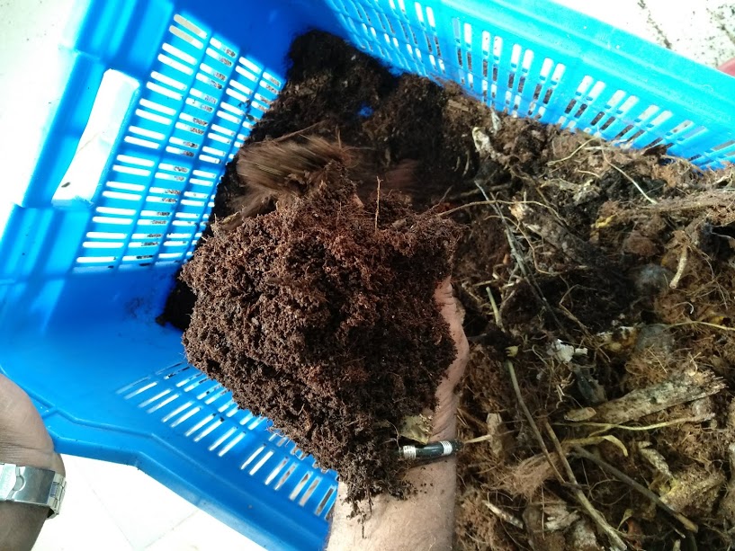 Community composting method-15: Try this DIY using GKVK culture, cut ...