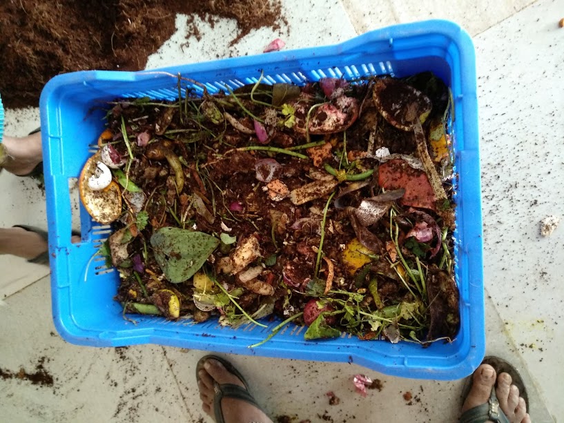 Community composting method-15: Try this DIY using GKVK culture, cut ...