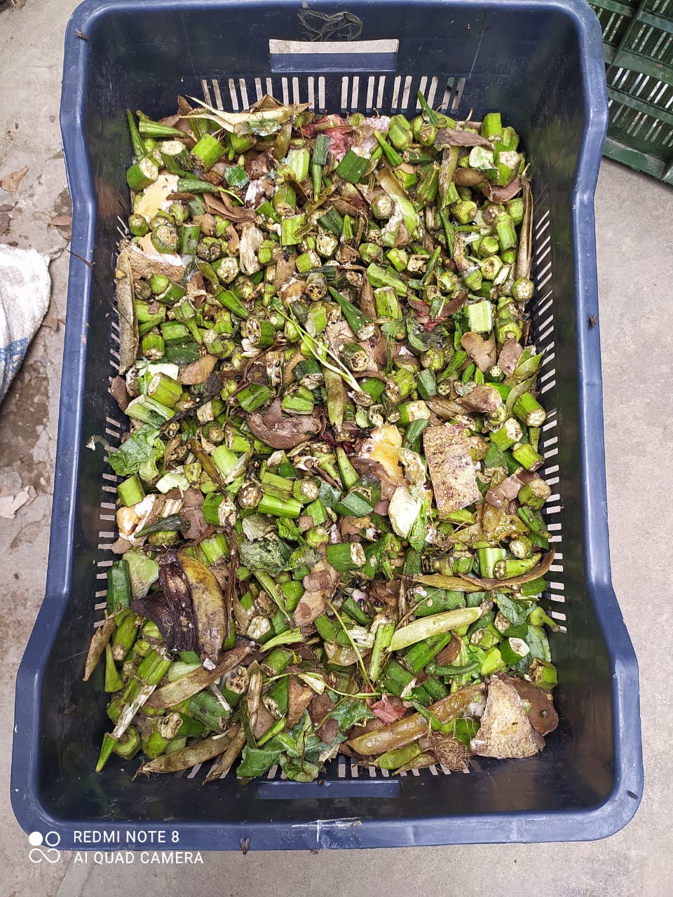 DIY composting in Kashmir: CRPF HC Krishna Murthy follows heart ...