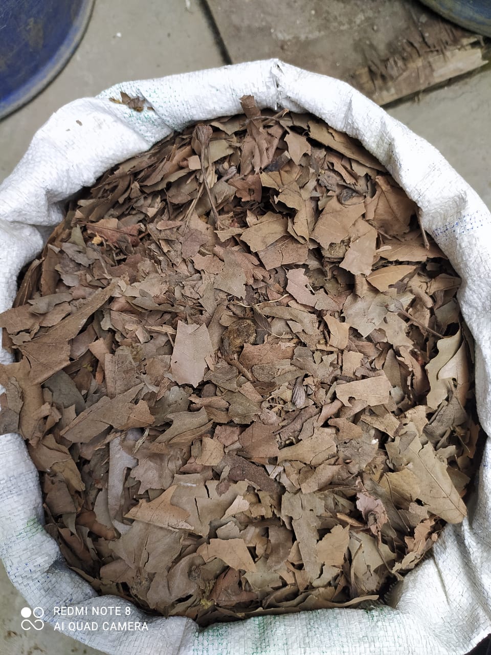 DIY composting in Kashmir: CRPF HC Krishna Murthy follows heart ...