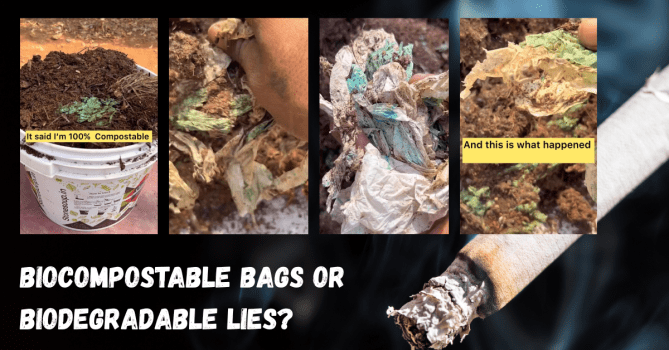 Thank you for composting: why ‘eco-bags’ are the light cigarettes of ...